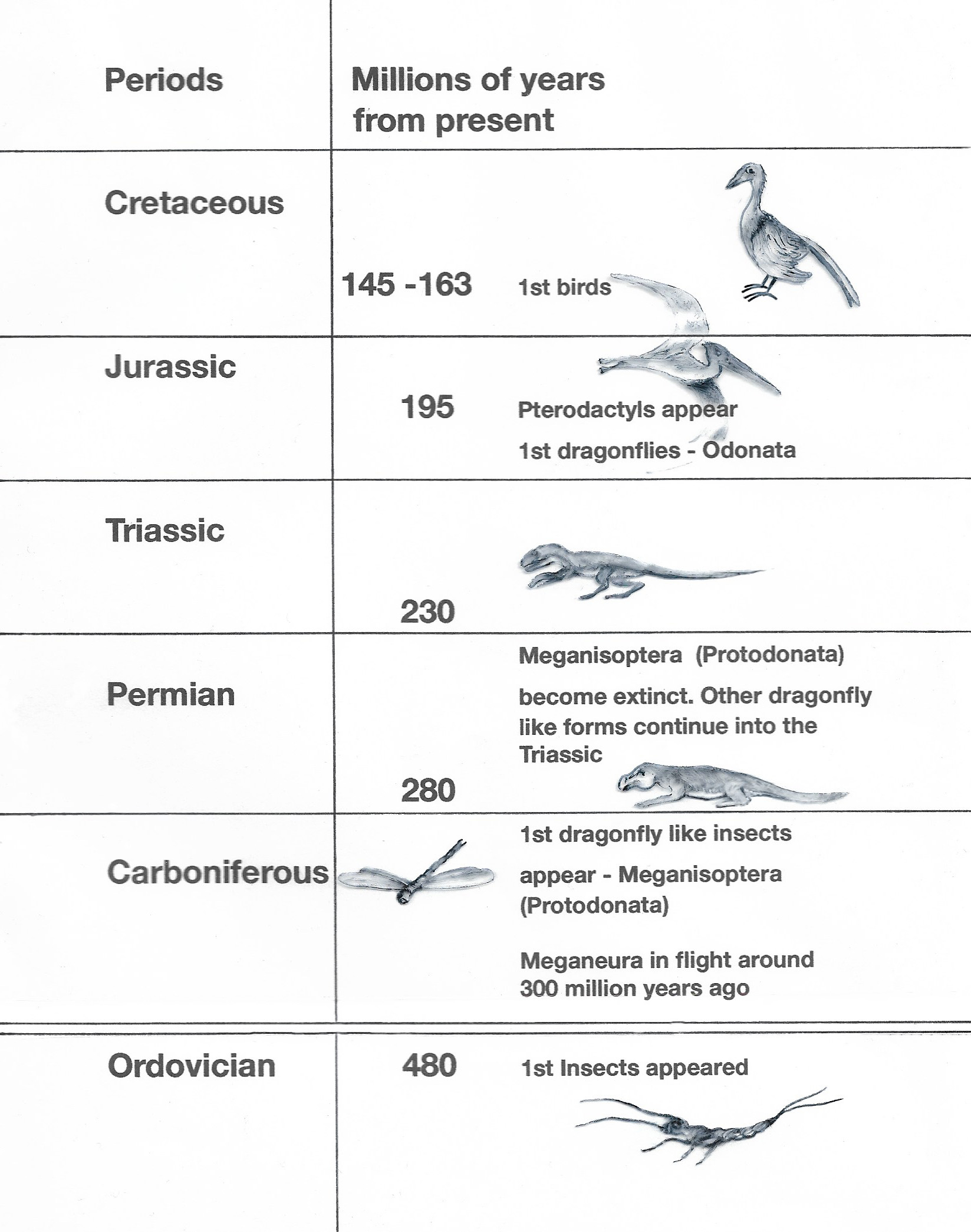Dragonflies: 300 million Years of Success… and Still Going Strong ...